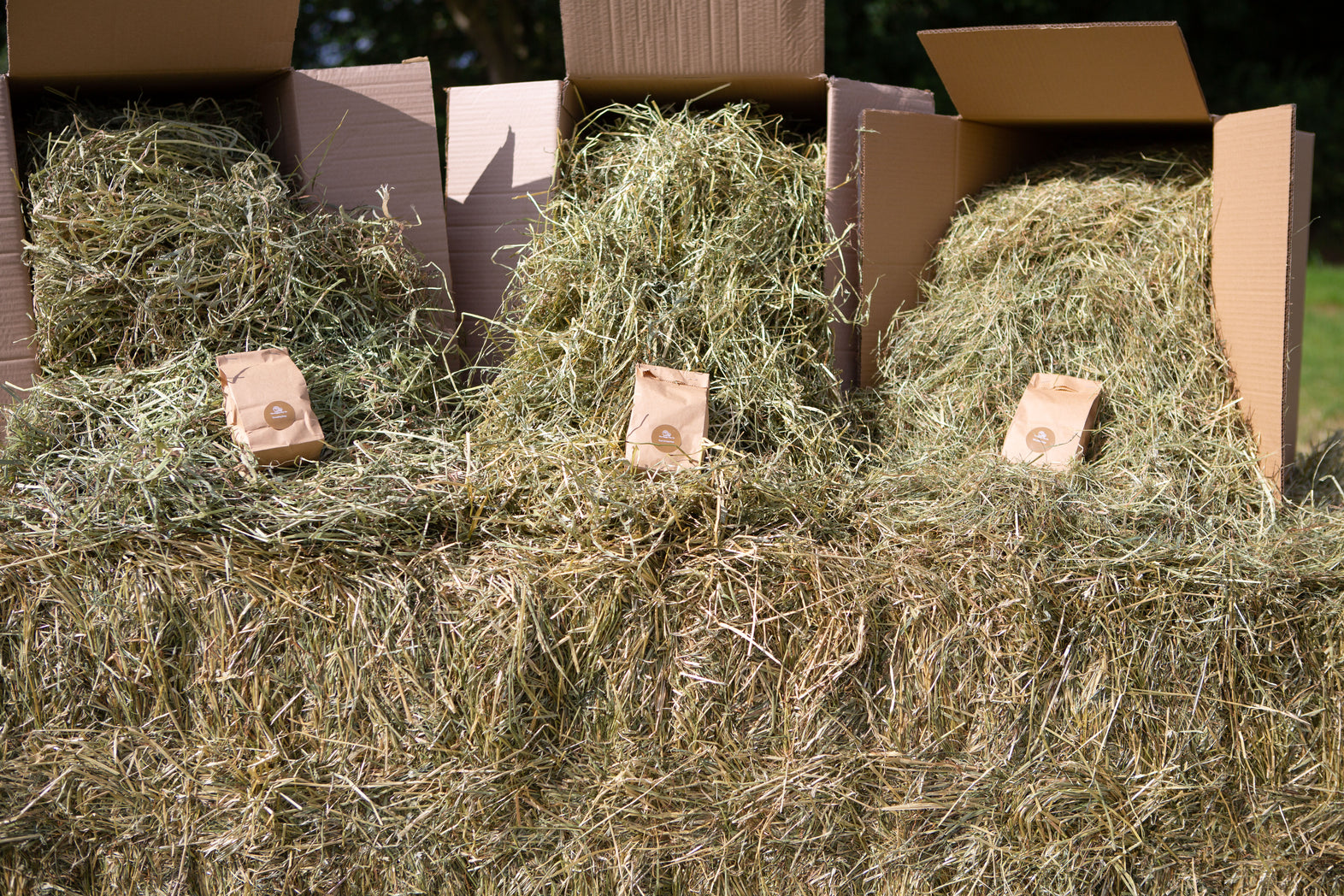 High Quality Hay Boxes for Rabbits & Guinea Pigs | Green Dust Free Hay