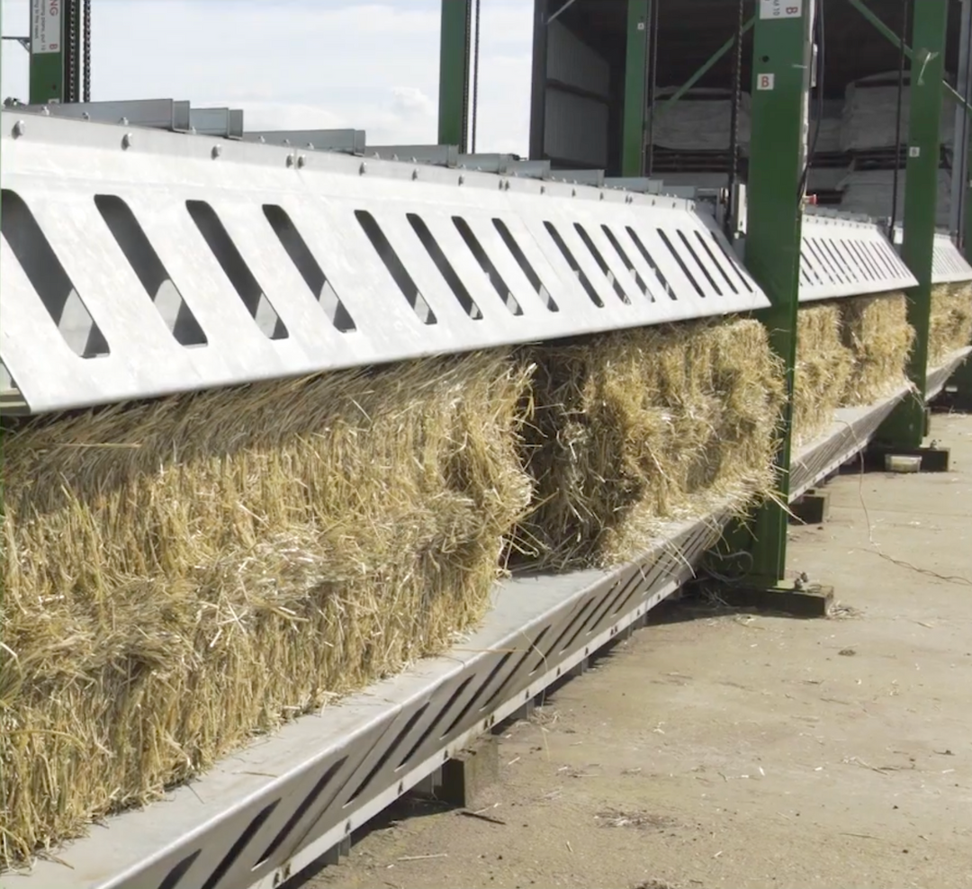 High Quality Hay Boxes for Rabbits & Guinea Pigs | Green Dust Free Hay