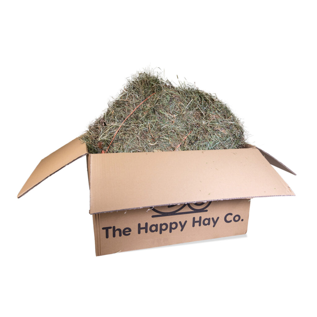 Rabbit Hay, Buy Rabbit Hay Online, Best Quality, Buy Now | Happy Hay