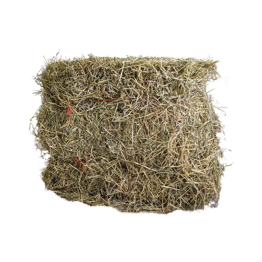Hay Boxes - Buy Hay Online, Best Quality Hay Delivery Uk Wide