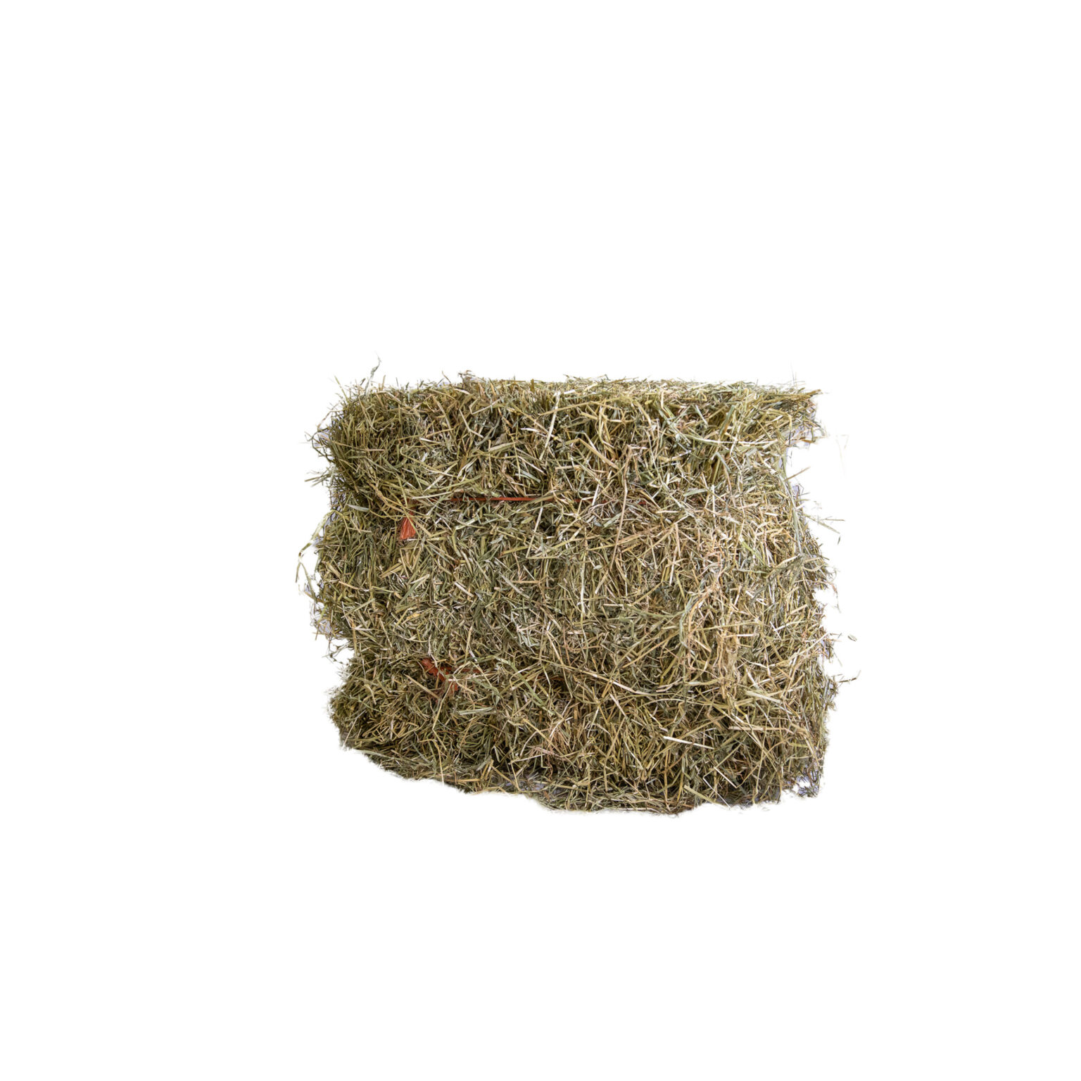 Rabbit Hay - 6 Types of Hay & Which One Is Best For Your Rabbit!