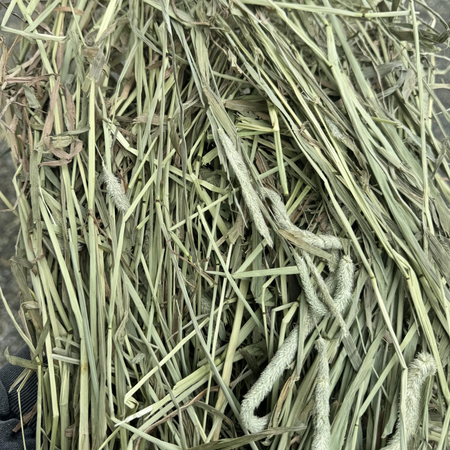 Hay Boxes - Best Quality Hay From Farm to Your Door, Buy Hay Online