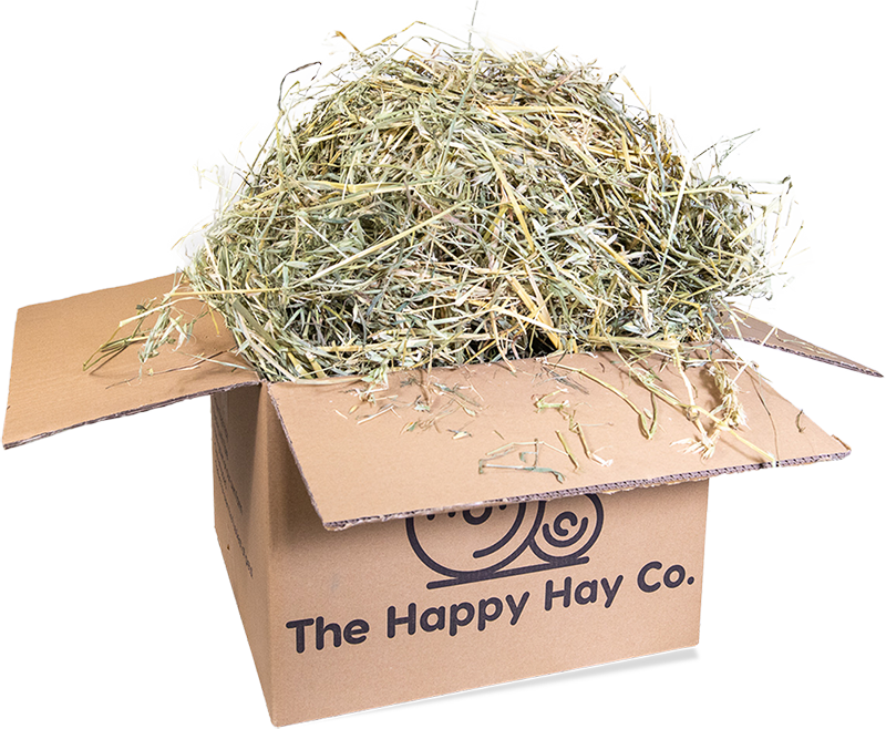 Hay Boxes - Buy Hay Online, Best Quality Hay Delivery Uk Wide