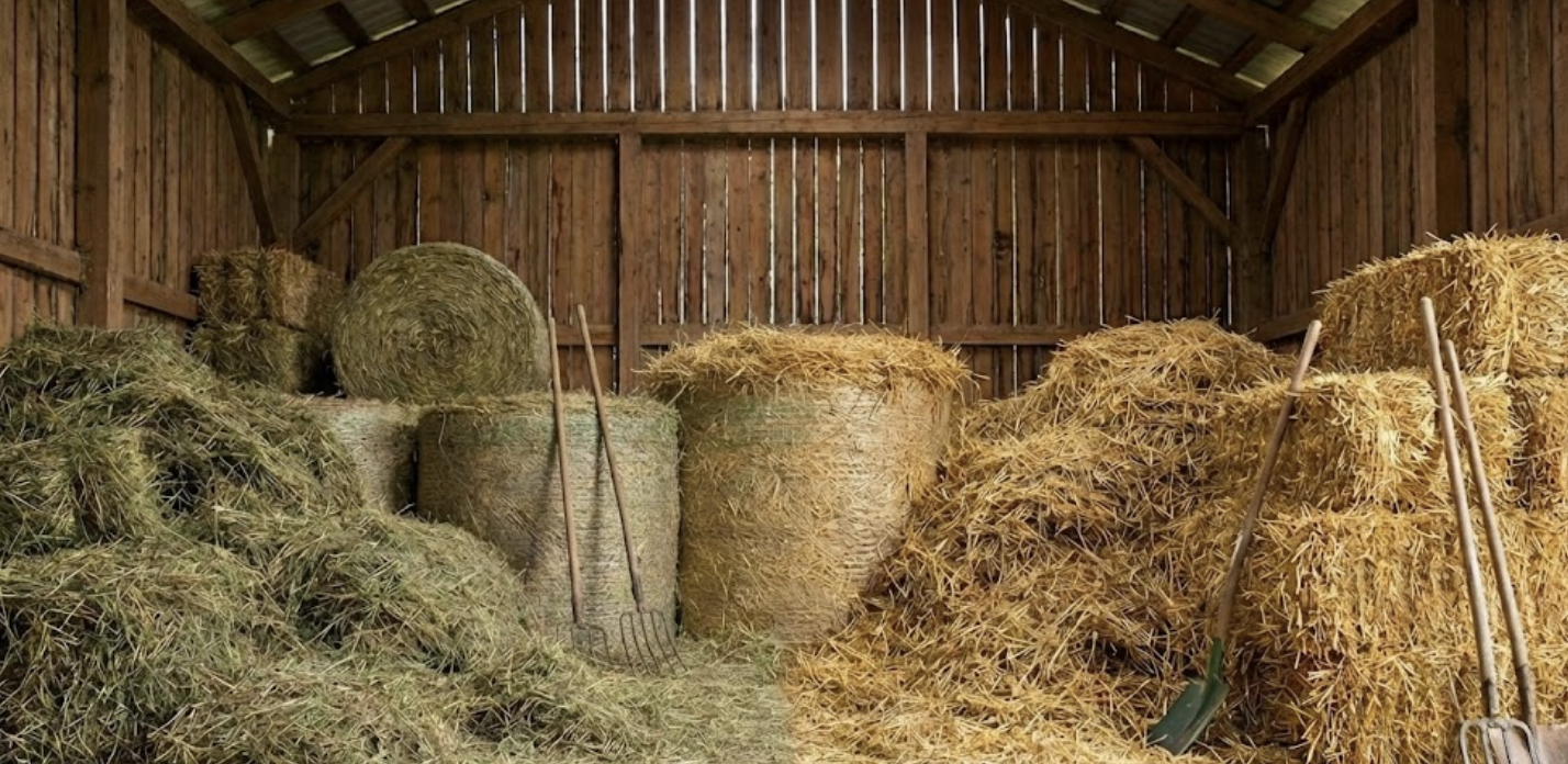 Hay vs Straw: What’s the difference and which should you use? - Happy Hay